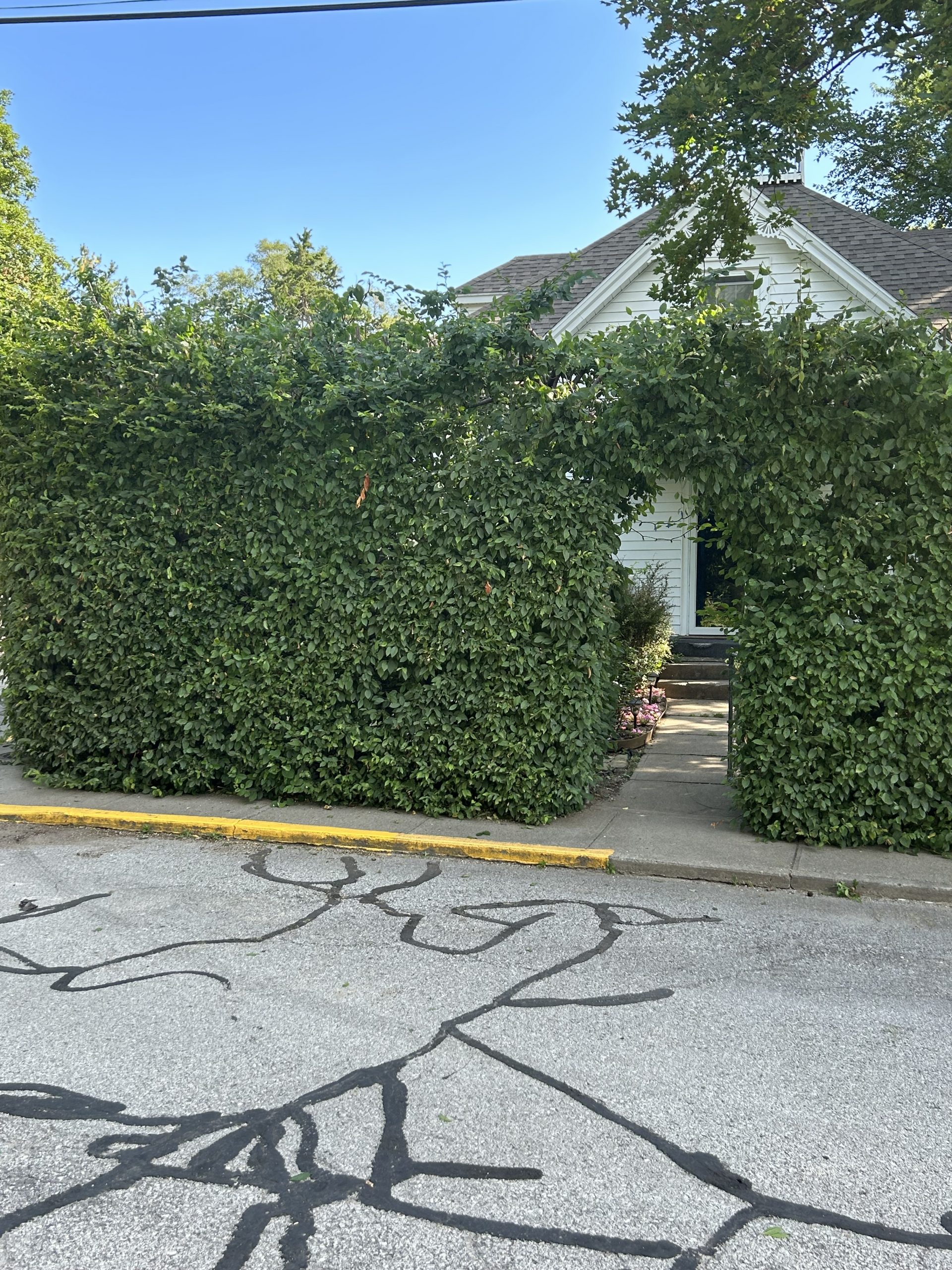 Privacy Planting a Garden Hedge · Chris Dyson-Coope ....... Kansas City ...